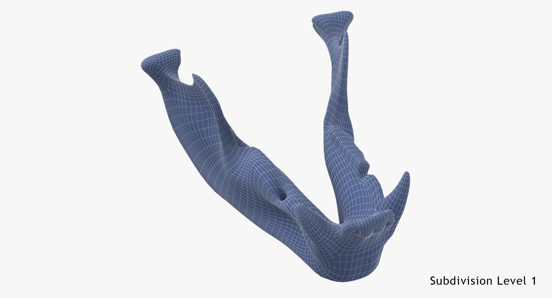 Pavian Monkey Male Jaw 3D Model - TurboSquid 1573484