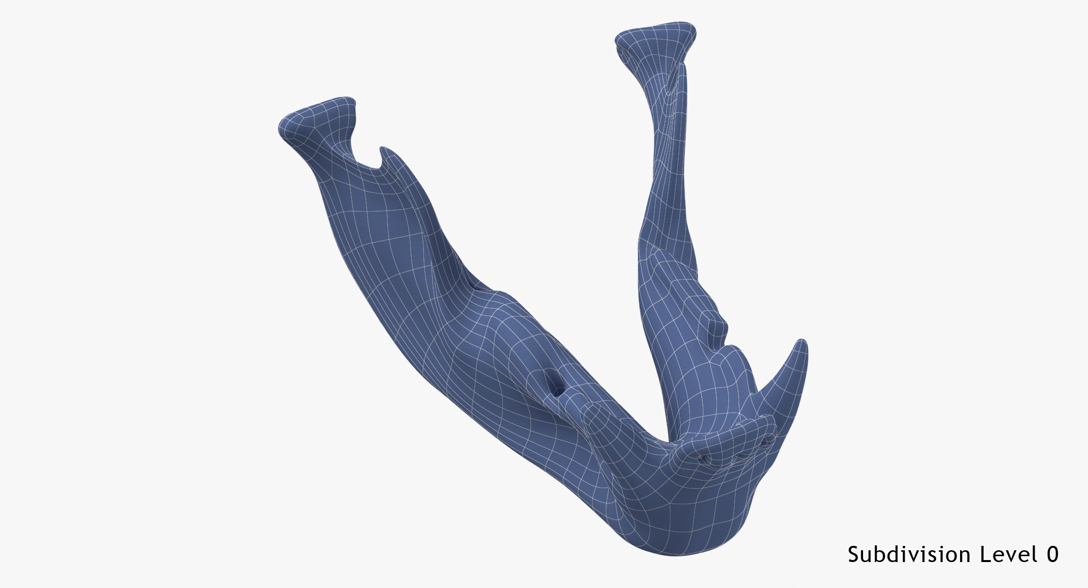 Pavian monkey male jaw 3D model - TurboSquid 1573484