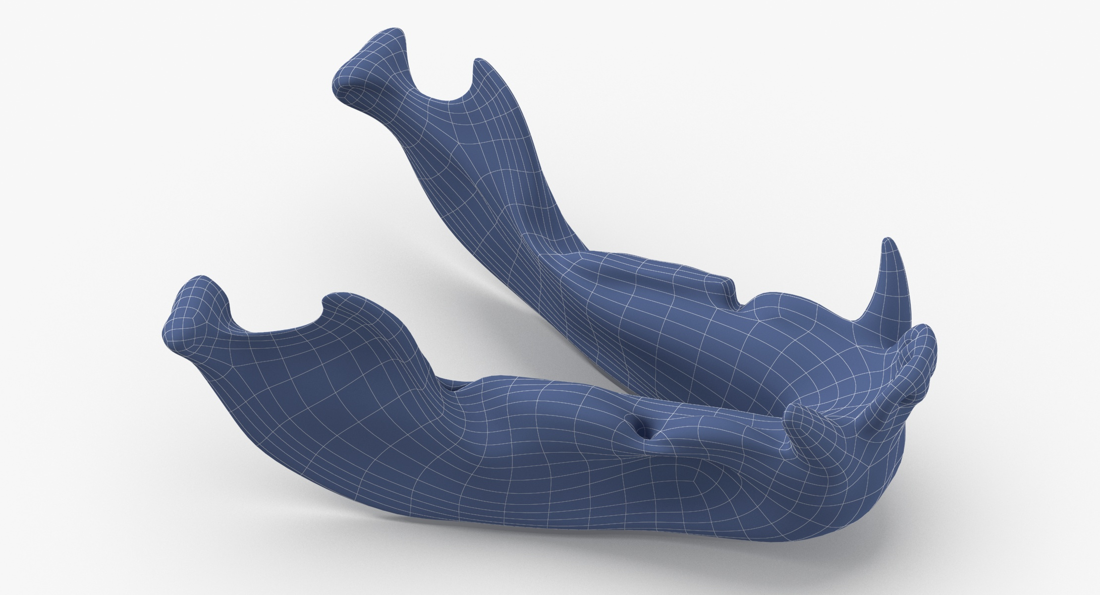 Pavian monkey male jaw 3D model - TurboSquid 1573484