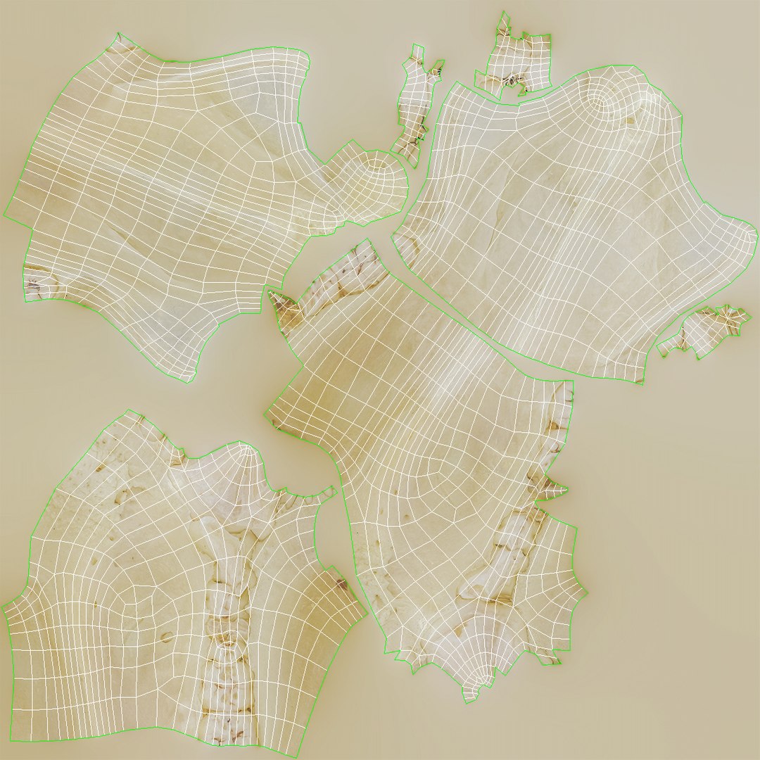 Pavian Monkey Male Jaw 3D Model - TurboSquid 1573484