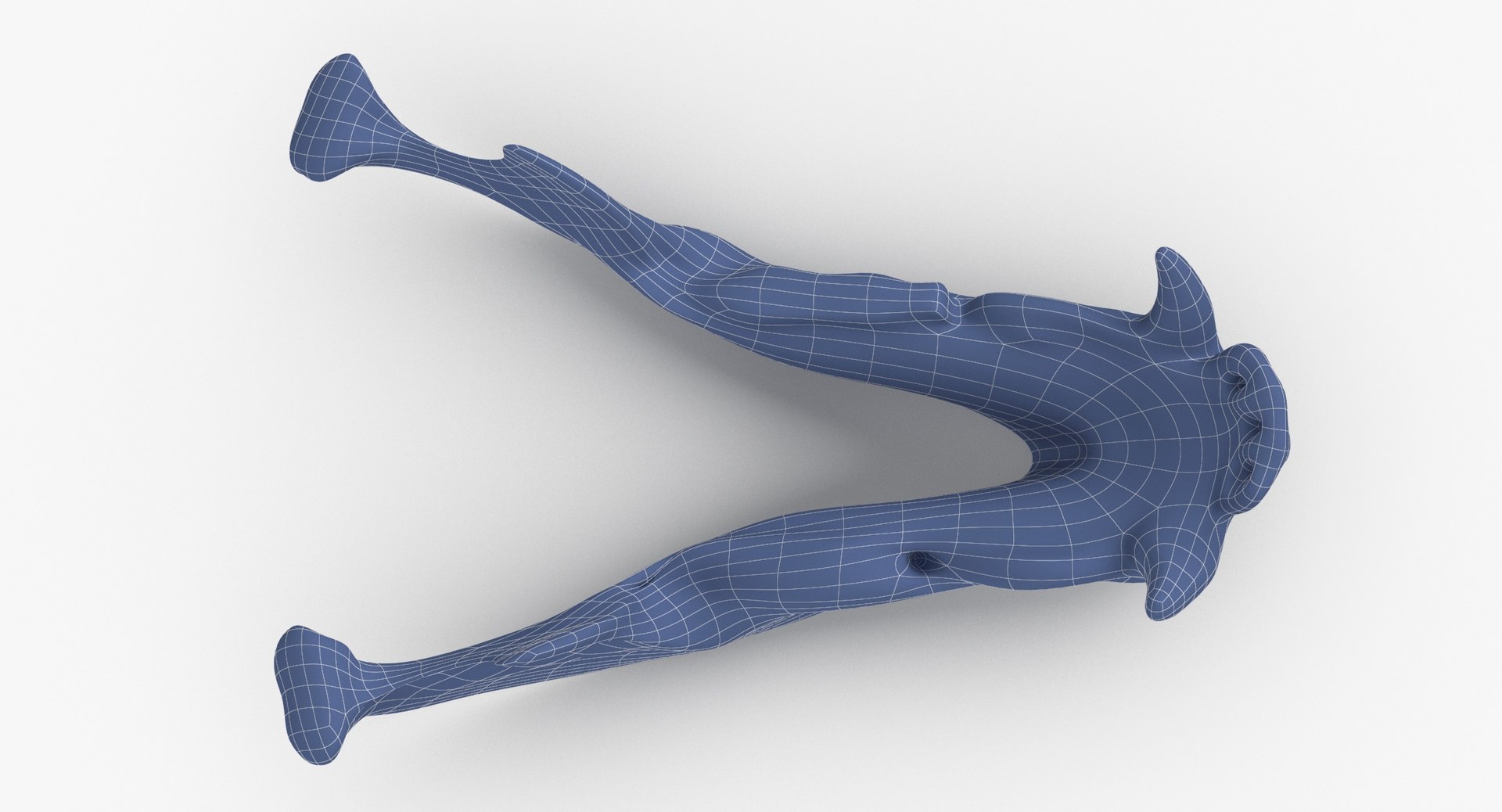 Pavian Monkey Male Jaw 3D Model - TurboSquid 1573484