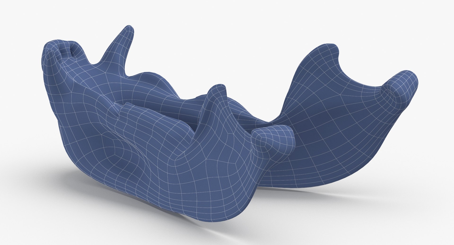 Pavian Monkey Male Jaw 3D Model - TurboSquid 1573484