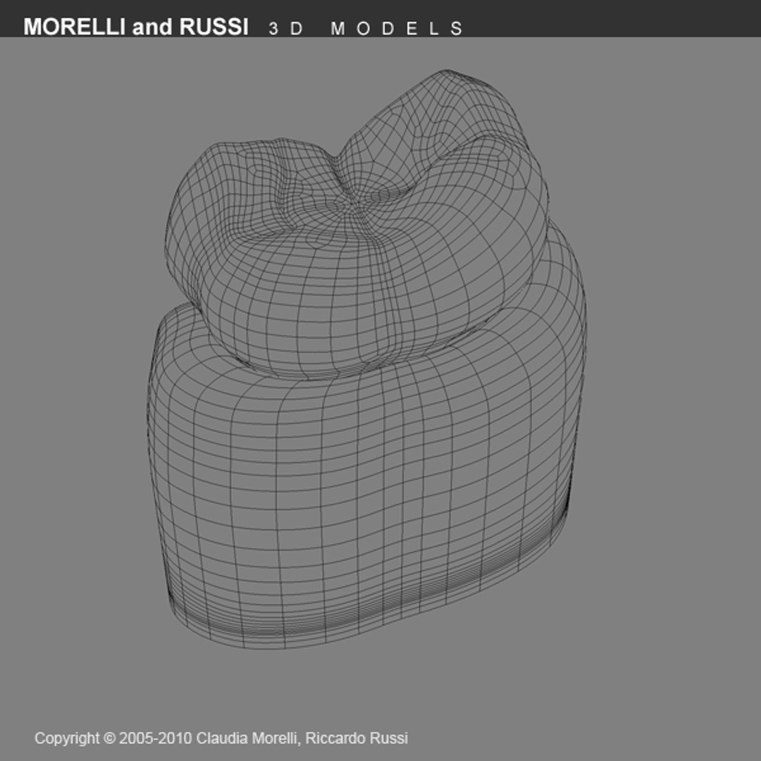 Tooth Section 3d Model