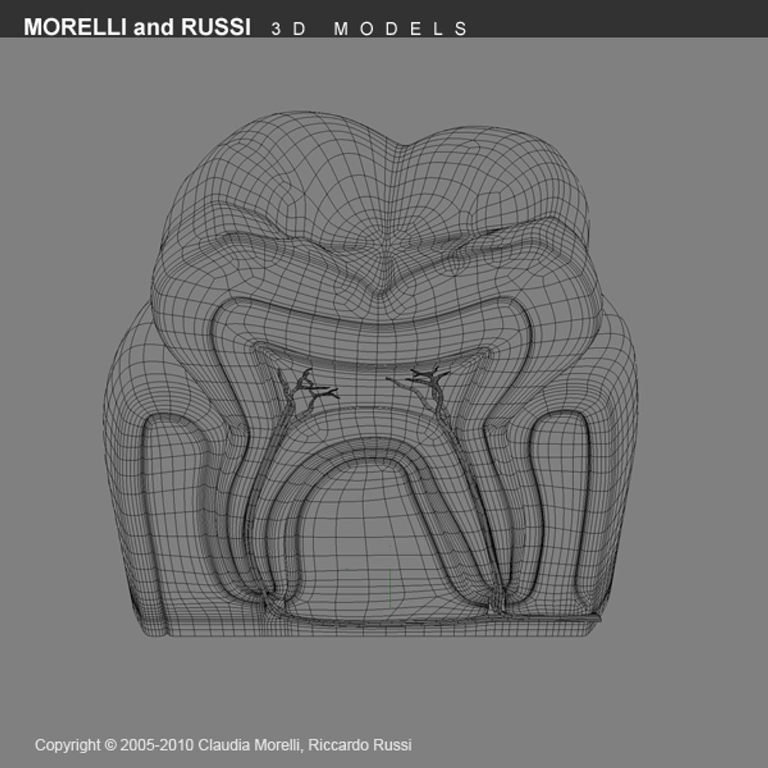 Tooth Section 3d Model