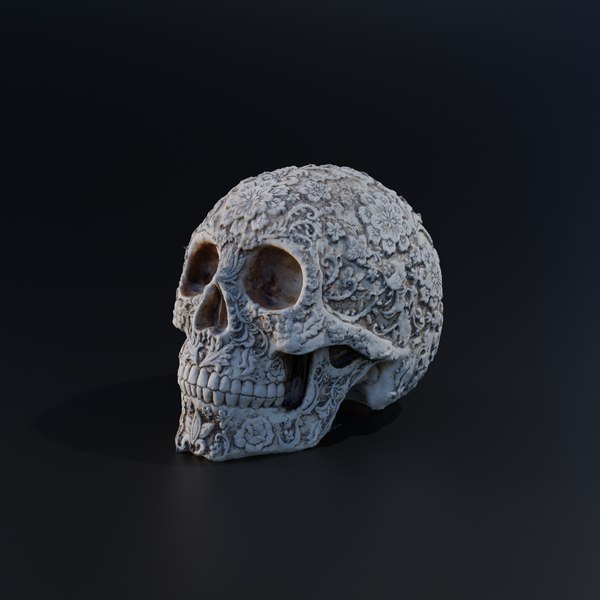 3d skull