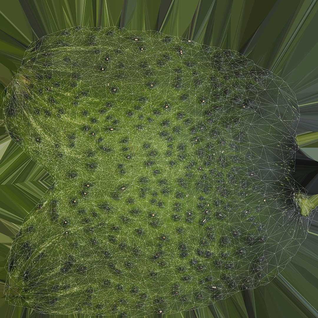 Vegetables set 3D model - TurboSquid 1945273