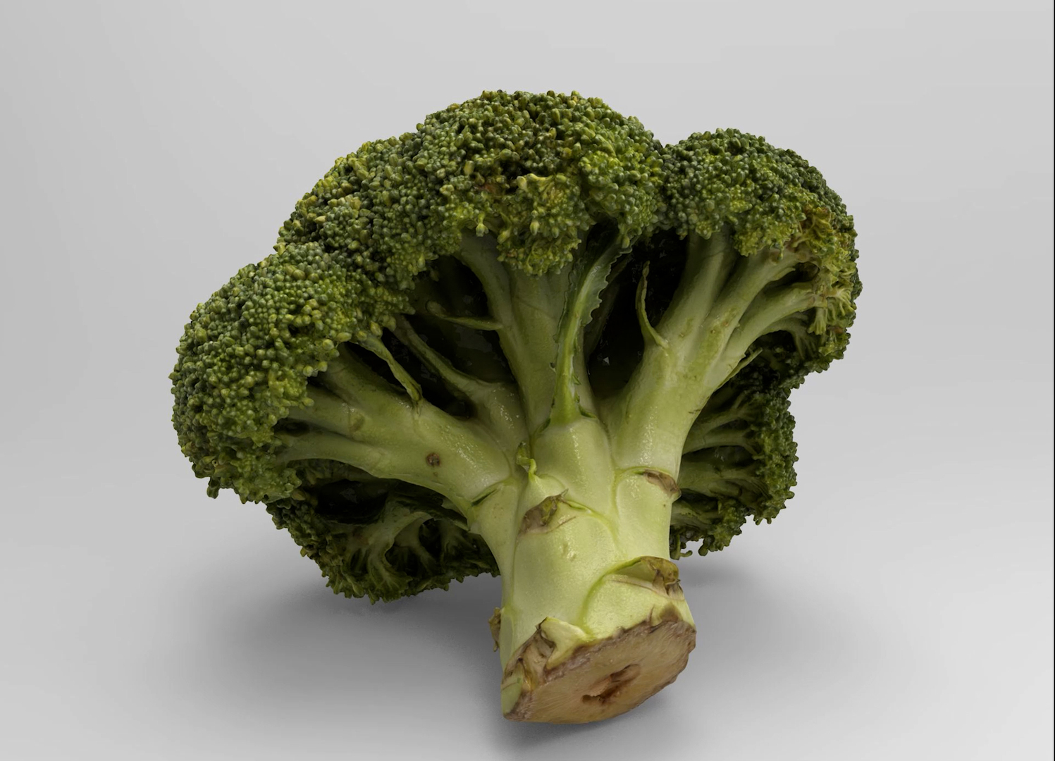 Vegetables set 3D model - TurboSquid 1945273