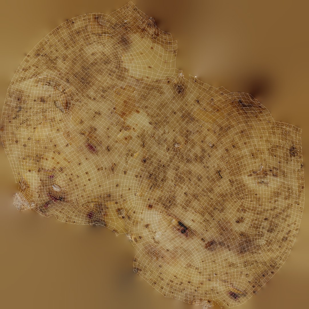 Vegetables set 3D model - TurboSquid 1945273