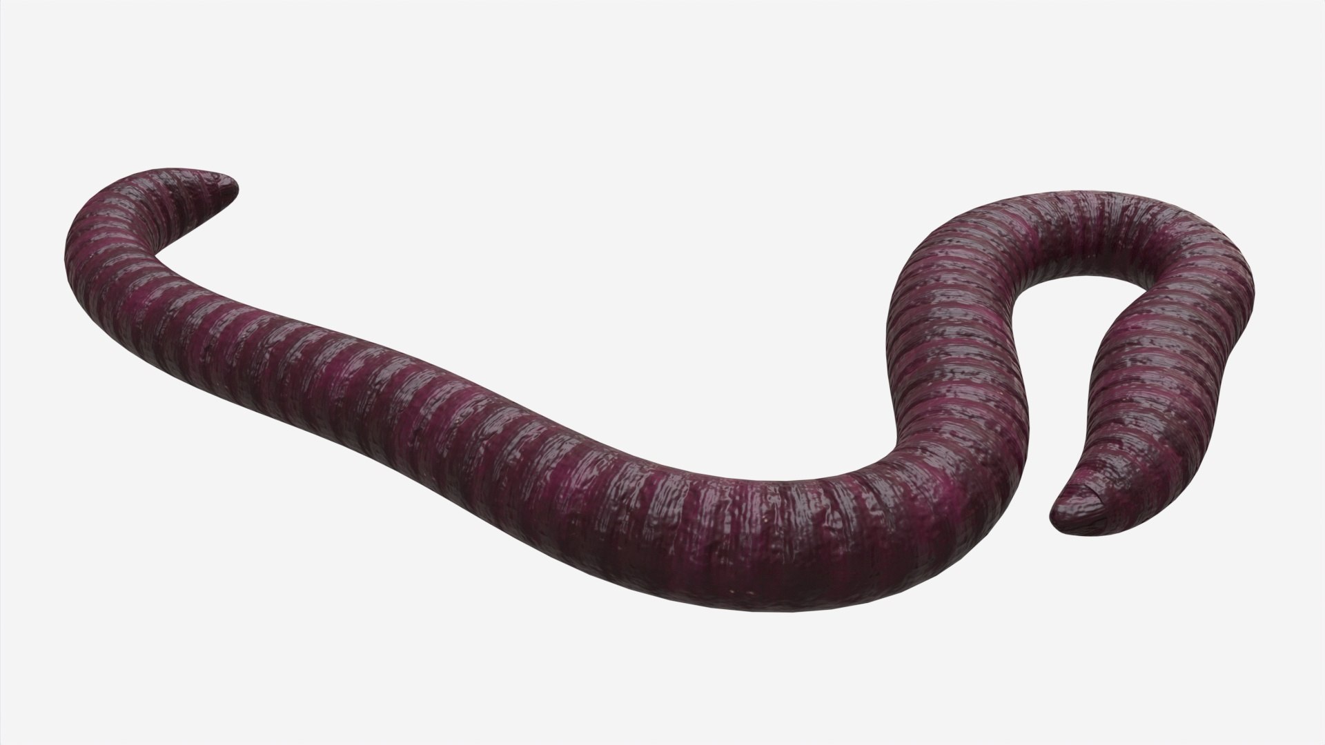 3D Red Worm 01 Model - TurboSquid 1934373