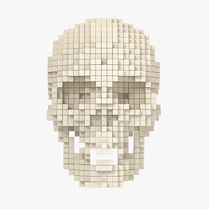 3D Skull Models - Browse & Download Formats - TurboSquid