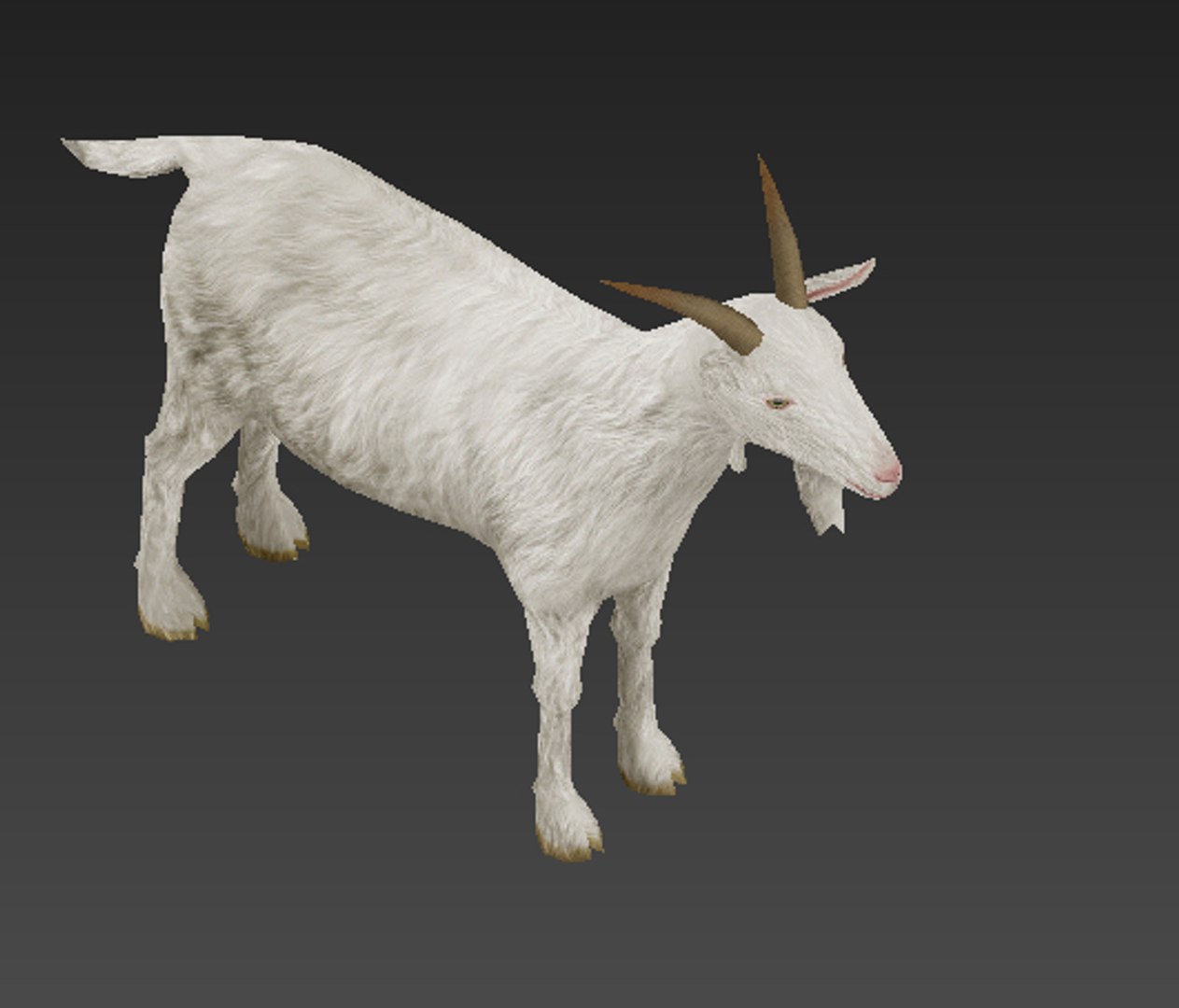 Goat 3D Model - TurboSquid 1533126