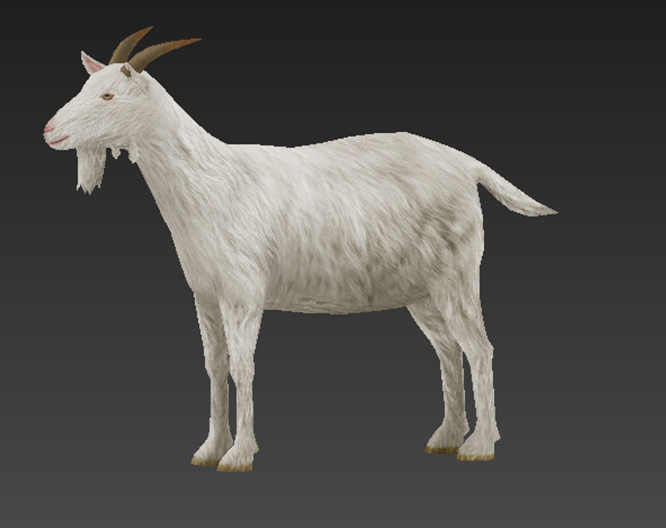 Goat 3D Model - TurboSquid 1533126