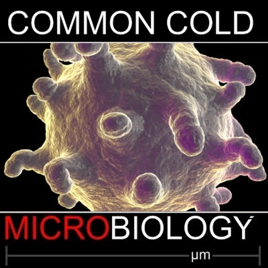 Common Cold Virus Max