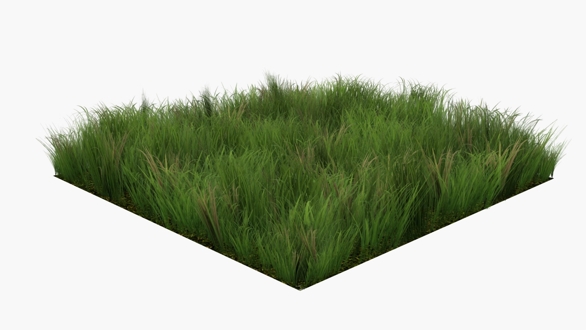 3D Model Grass Lowpoly Game Ready - TurboSquid 1930403