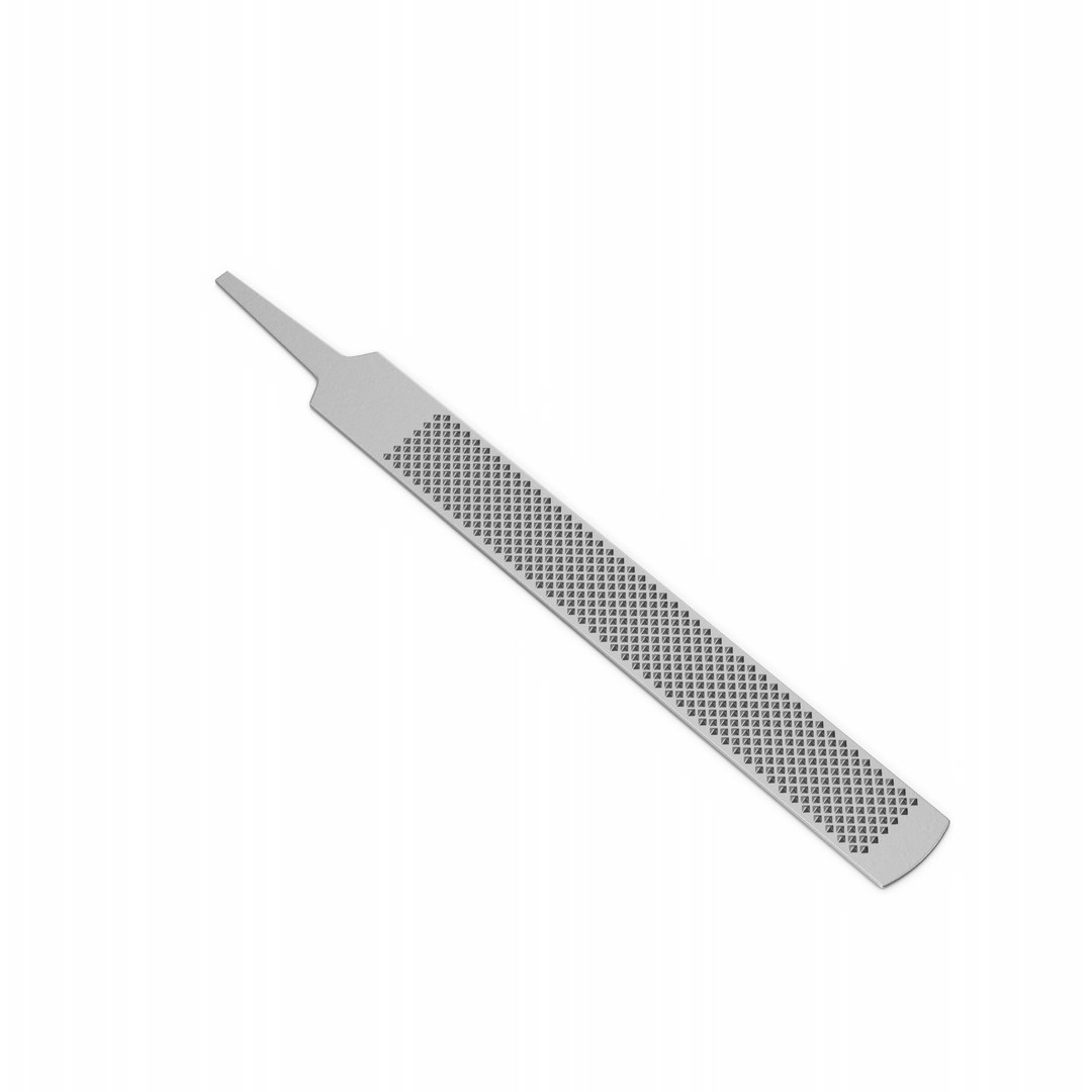 Steel Rasp 3D Model - TurboSquid 1898550