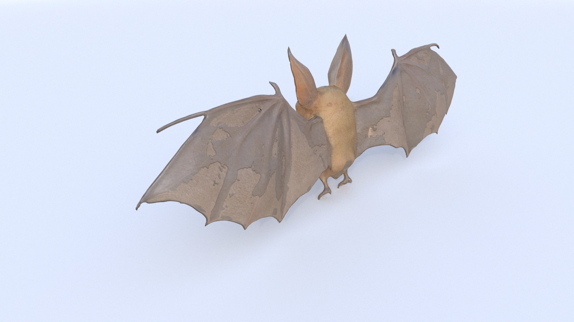 3D Bat - TurboSquid 2334971