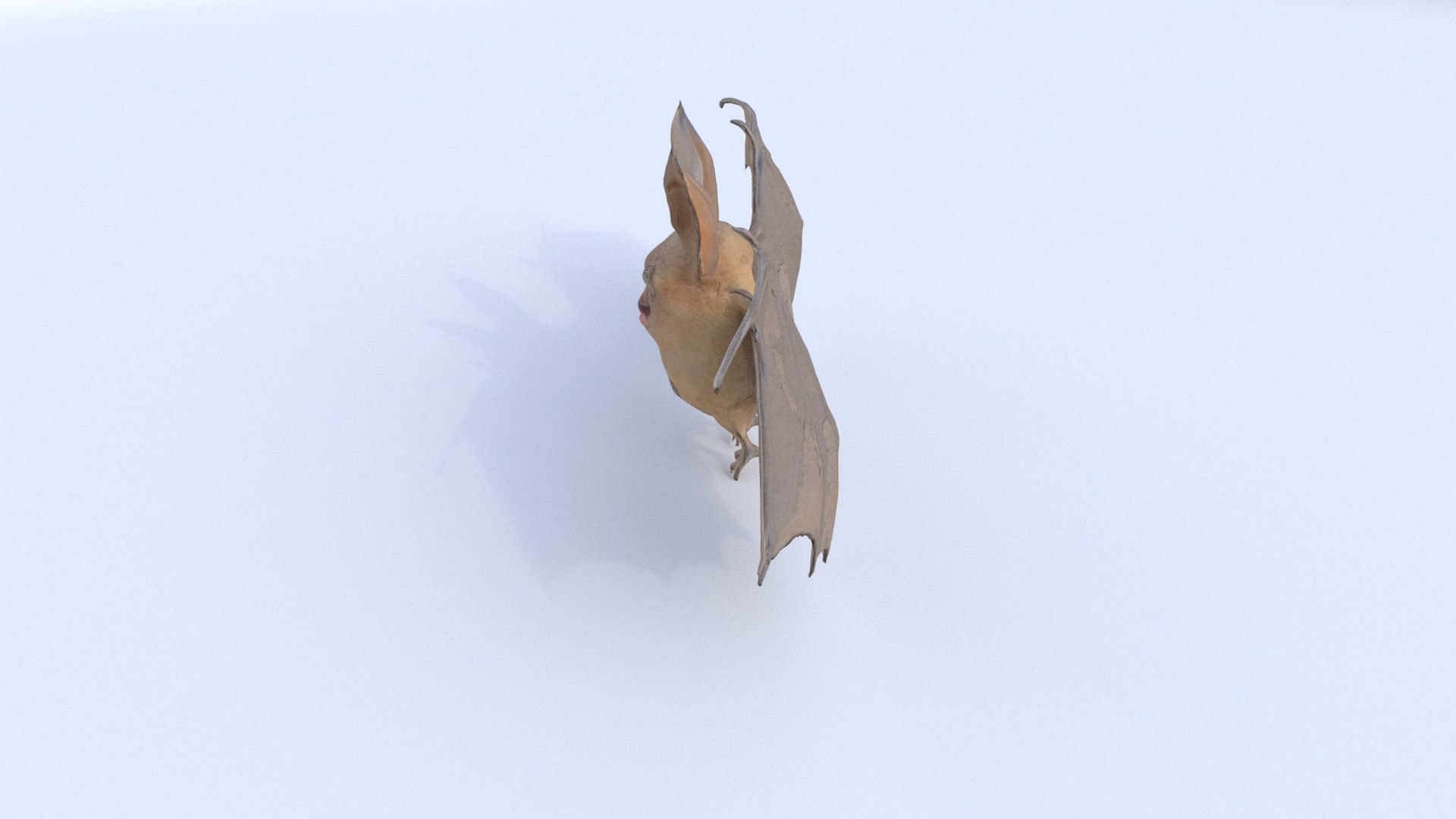 3D Bat - TurboSquid 2334971