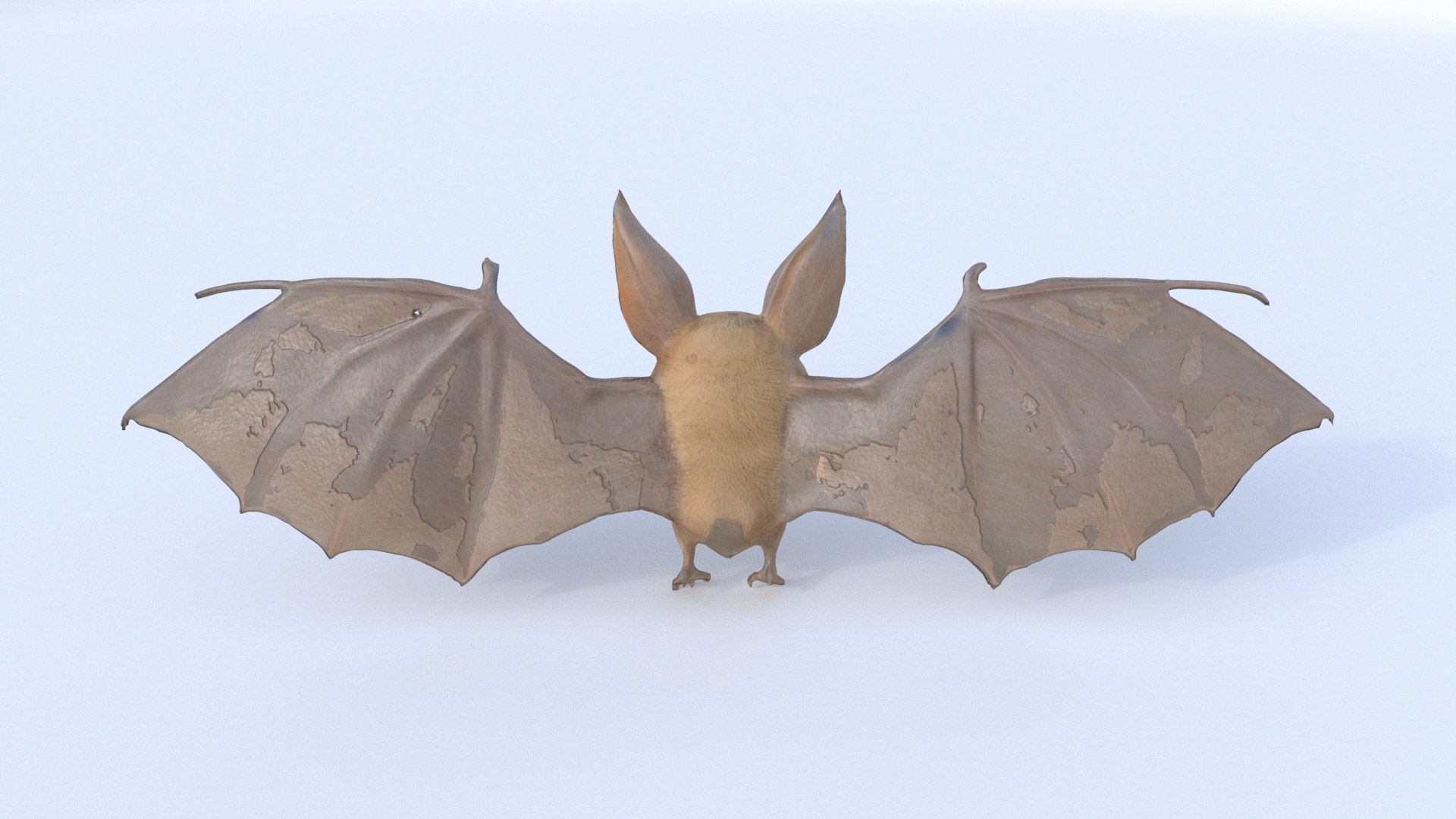 3D Bat - TurboSquid 2334971