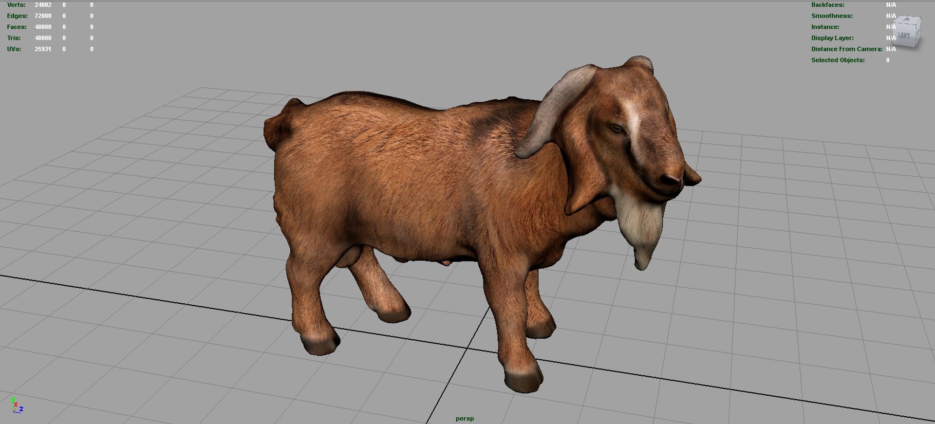 Domestic Goat 3D Model - TurboSquid 1287813