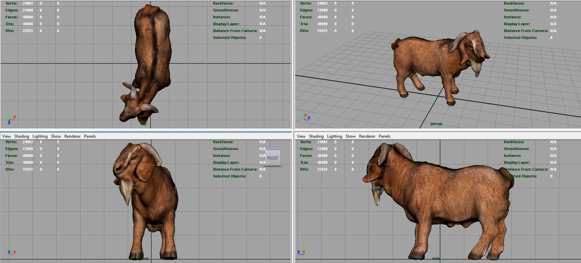 Domestic Goat 3D Model - TurboSquid 1287813