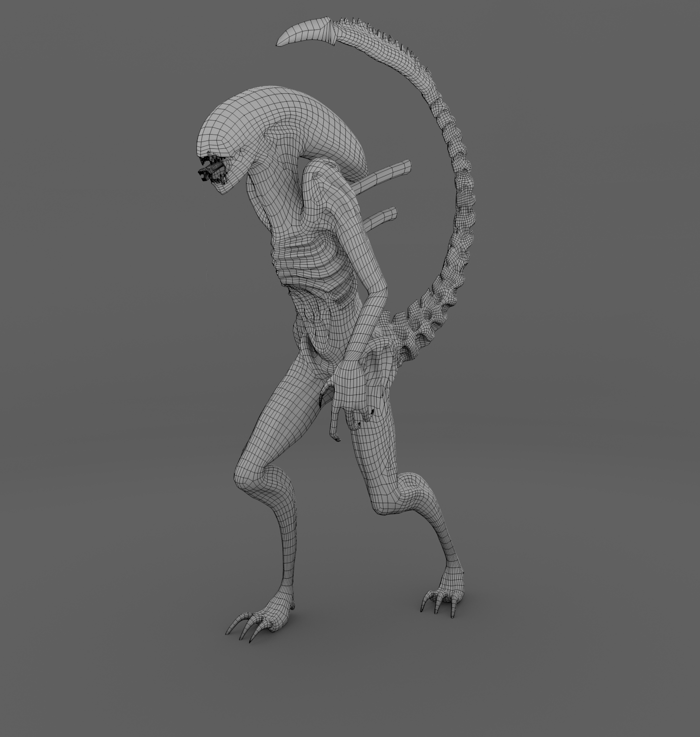 3d model of xenomorph alien creature