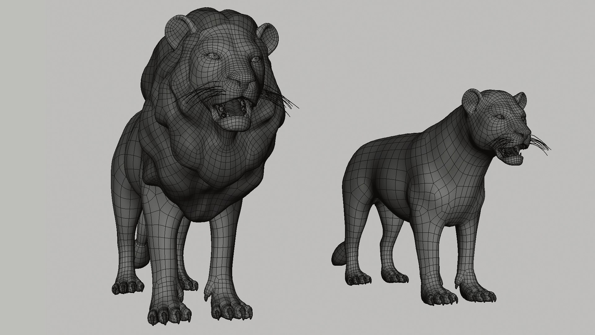 Lion Couple Basemesh 3D Model - TurboSquid 2237945