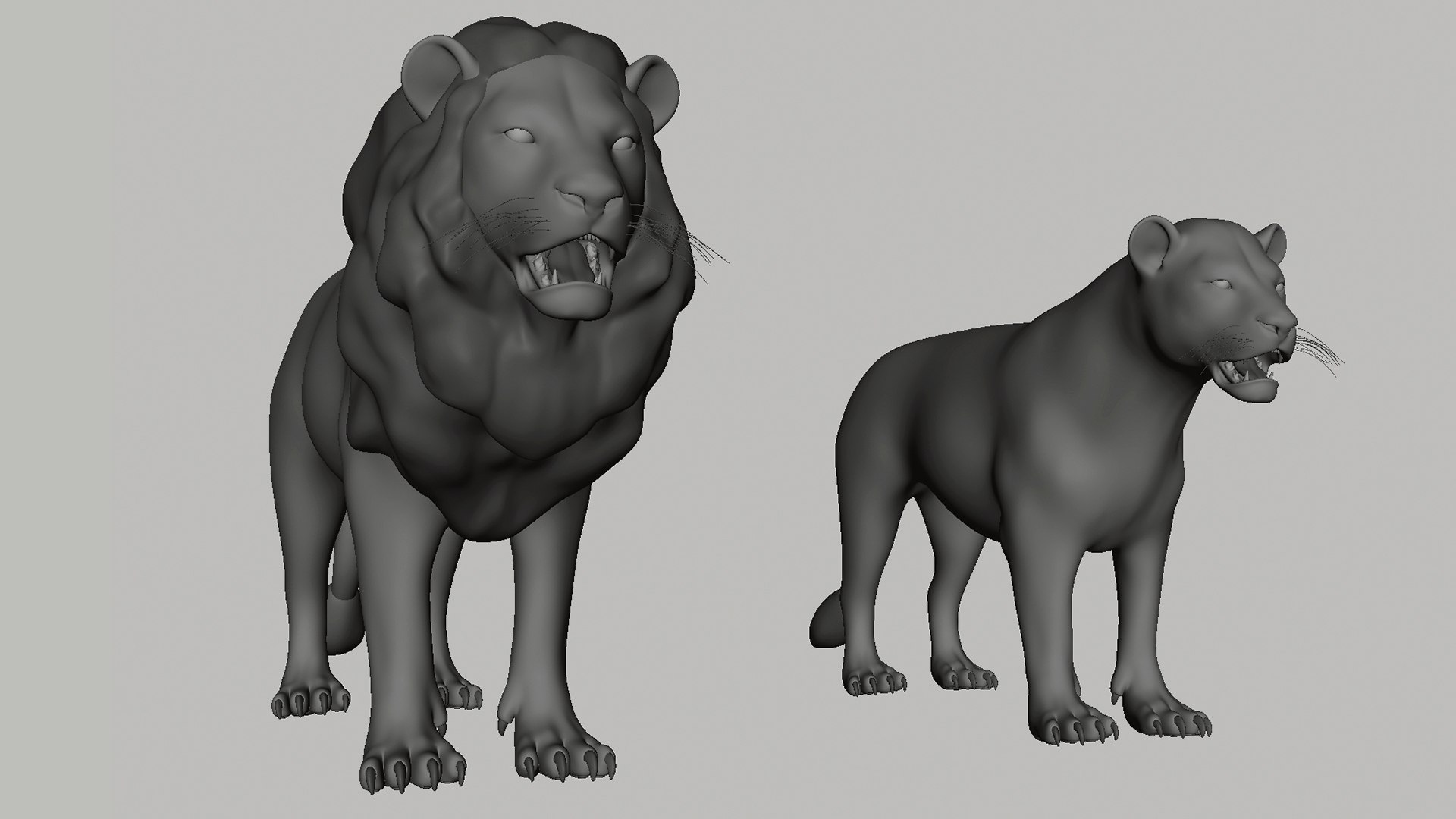 Lion Couple Basemesh 3D Model - TurboSquid 2237945