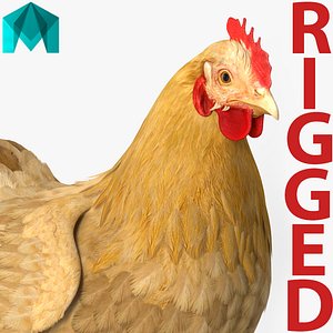 3d max brown hen