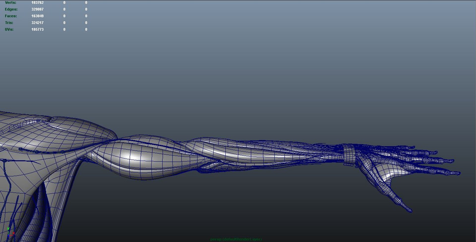 Muscles lymph nodes skeleton 3D model - TurboSquid 1273809