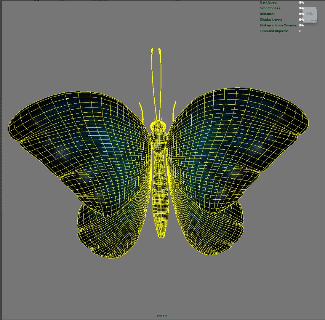 Butterfly Rigged Obj