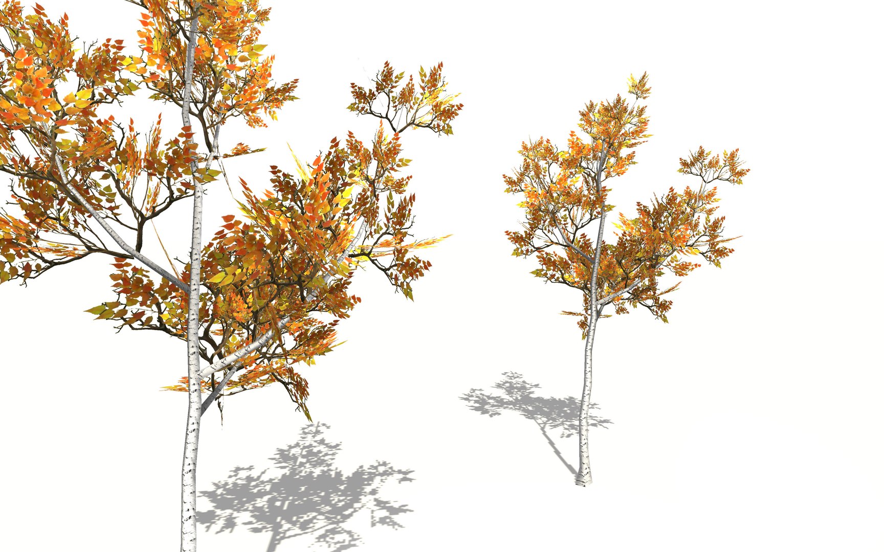 3D realistic maple tree - TurboSquid 1517349