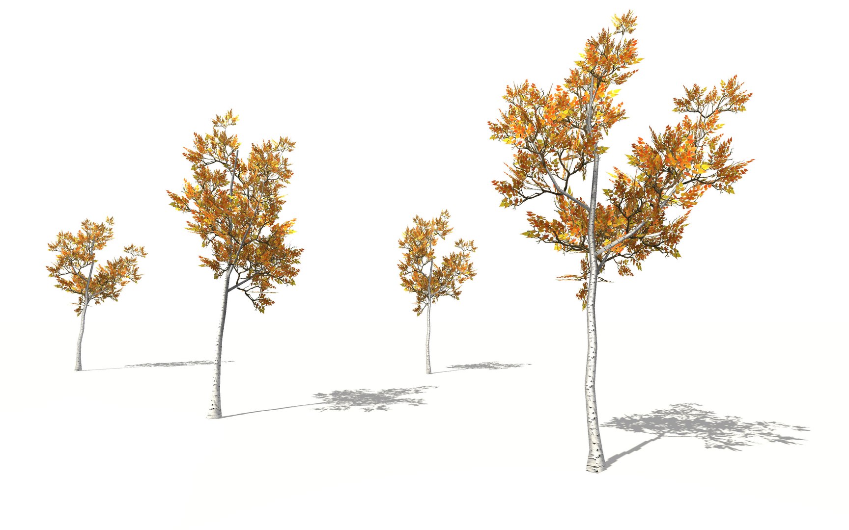 3D realistic maple tree - TurboSquid 1517349