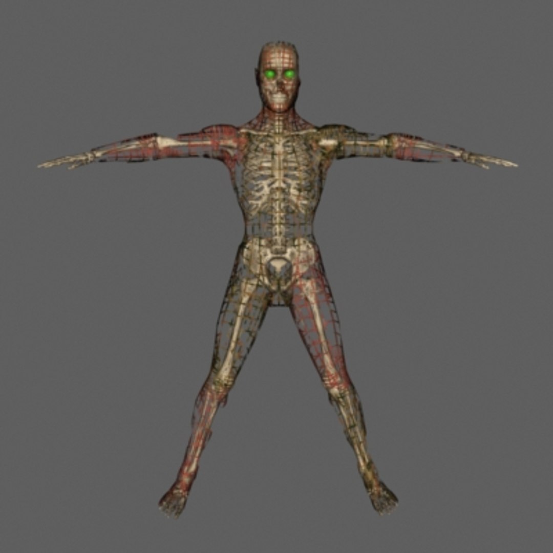 Undead Zombie Max