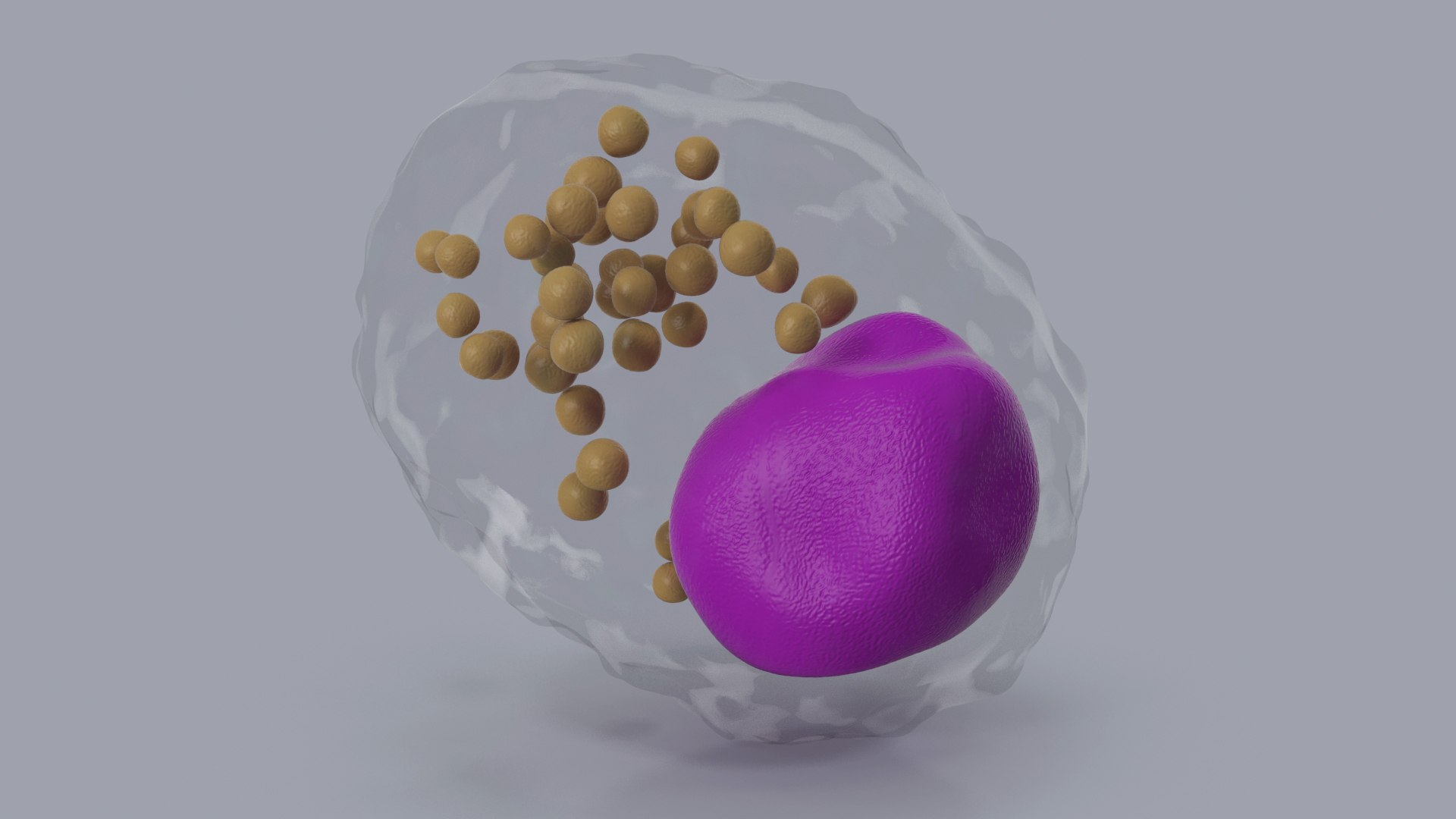 3D Macrophage Blood Cell - TurboSquid 2131723