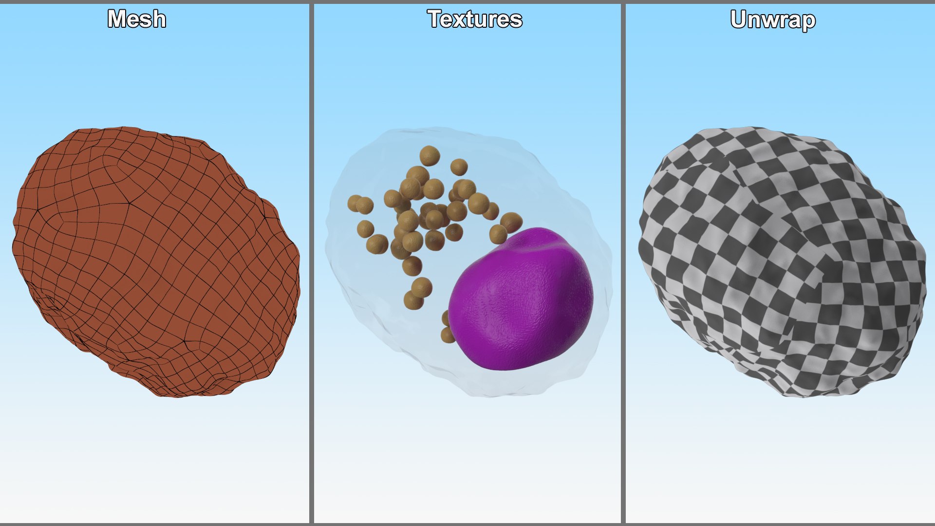 3D Macrophage Blood Cell - TurboSquid 2131723
