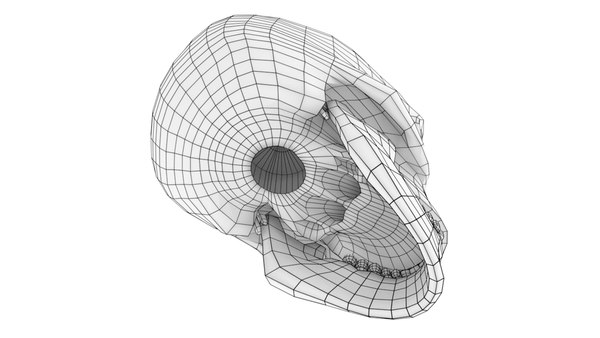 Skull blender cycles 3D - TurboSquid 1445856