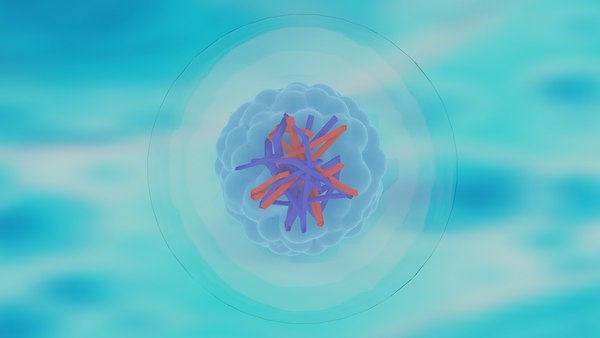 3D Cell division through mitosis animation - TurboSquid 1715740