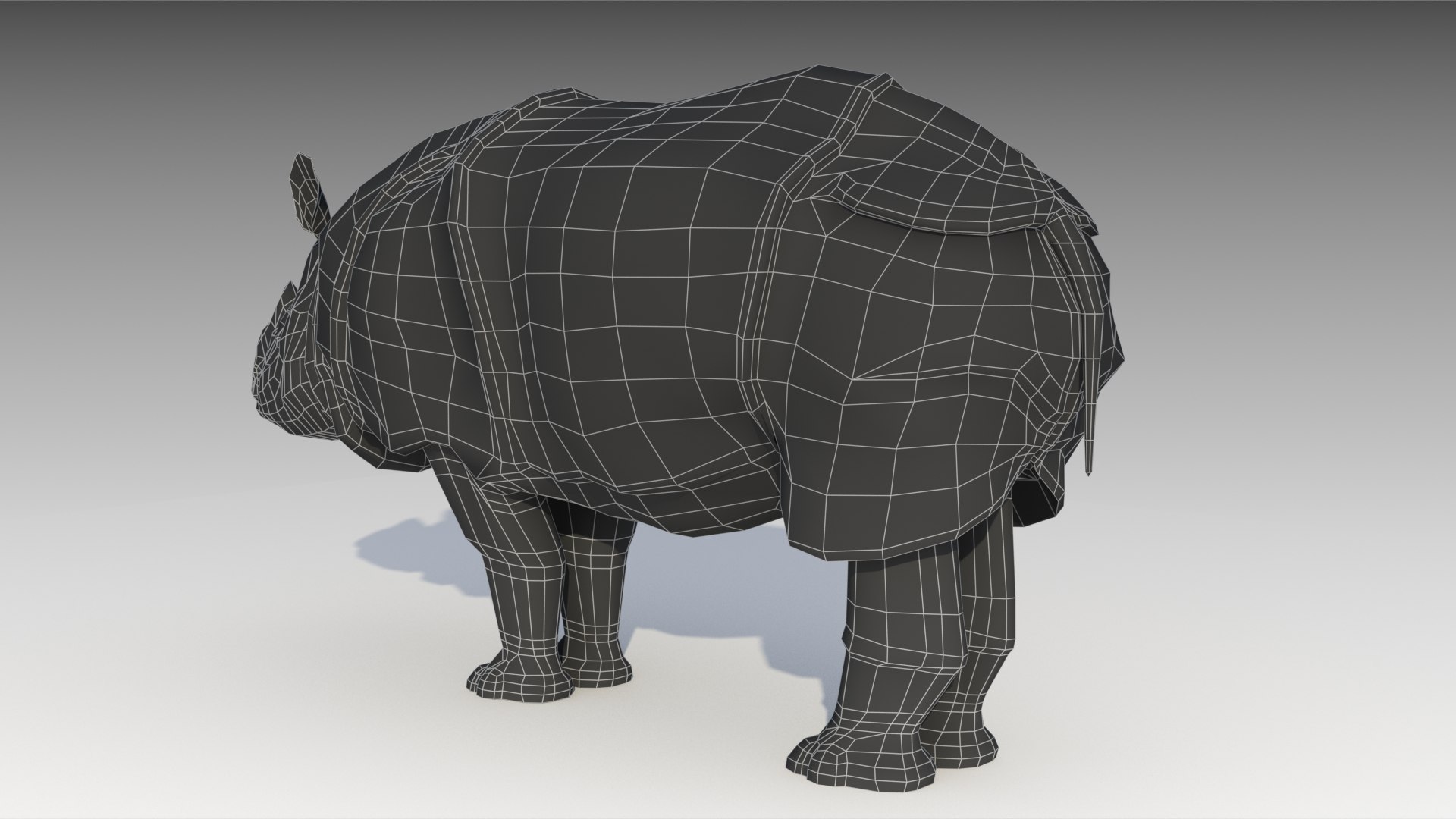 Asian Rhinoceros Animations Rhino 3d Max