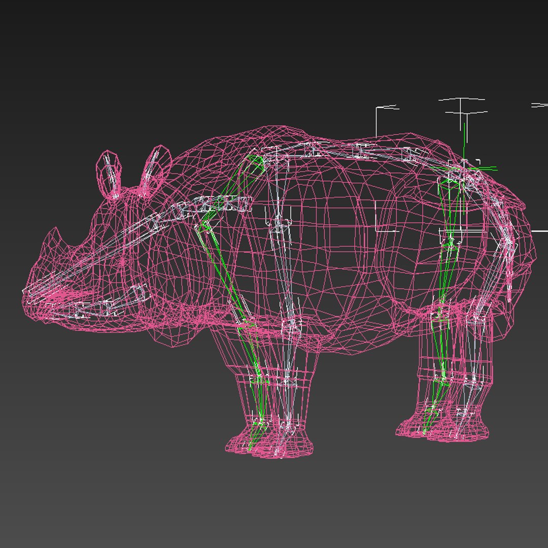 Asian Rhinoceros Animations Rhino 3d Max