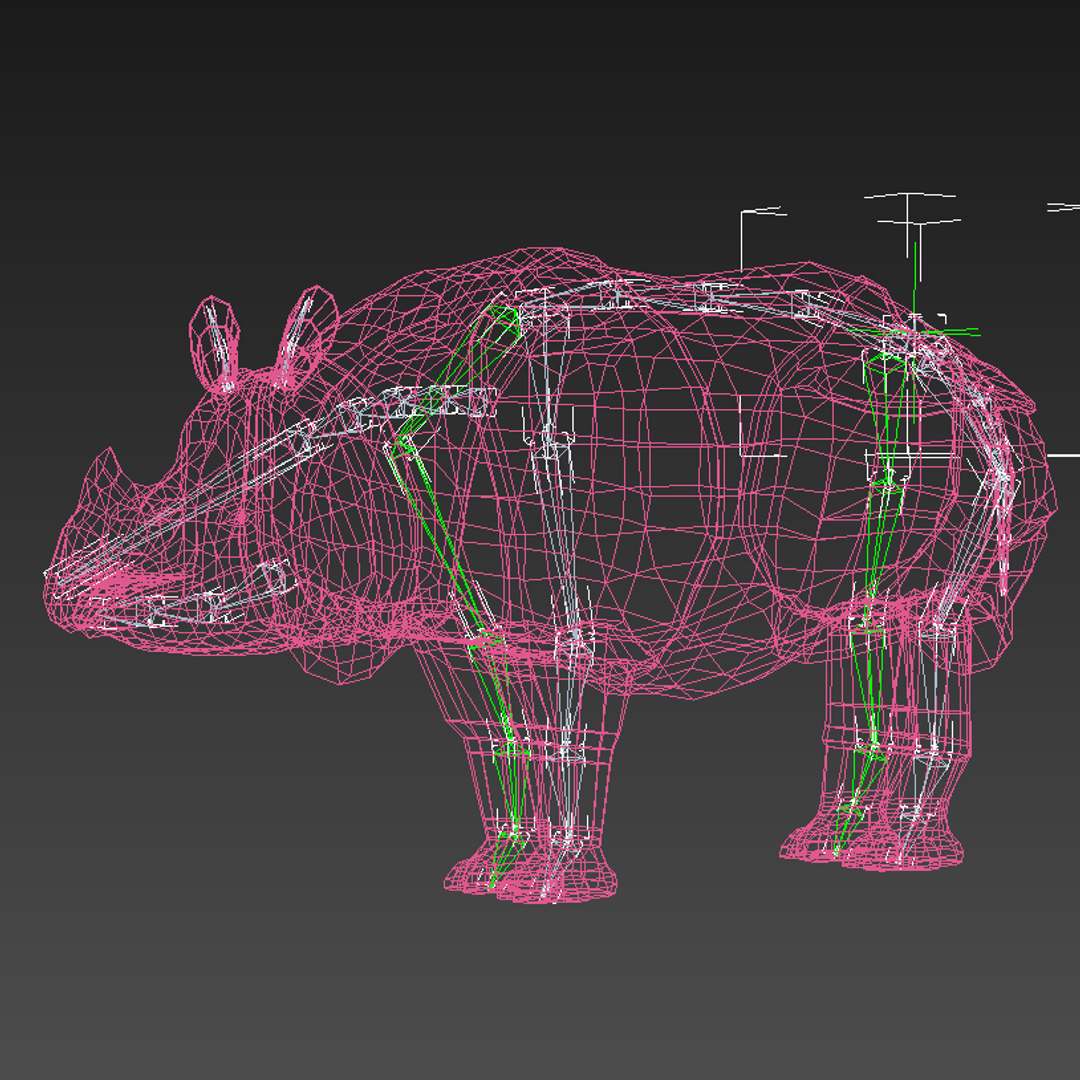 asian rhinoceros animations rhino 3d max