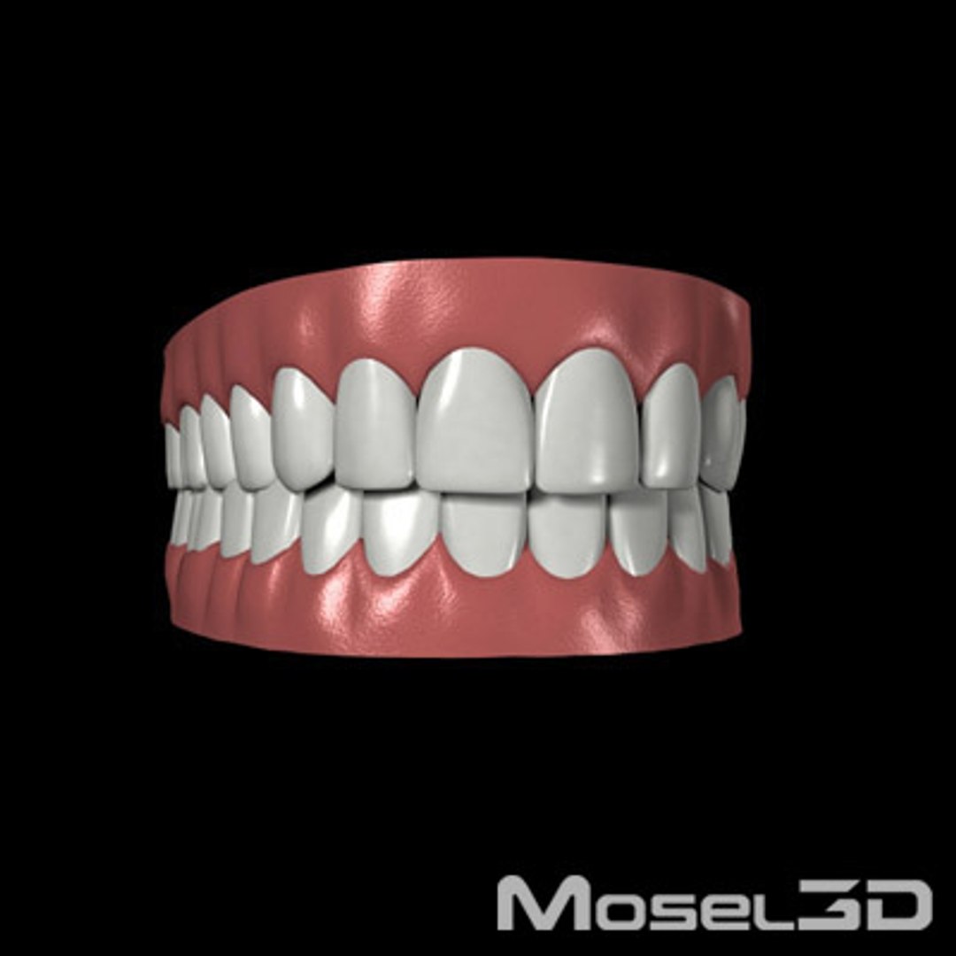 Teeth - 3d Model