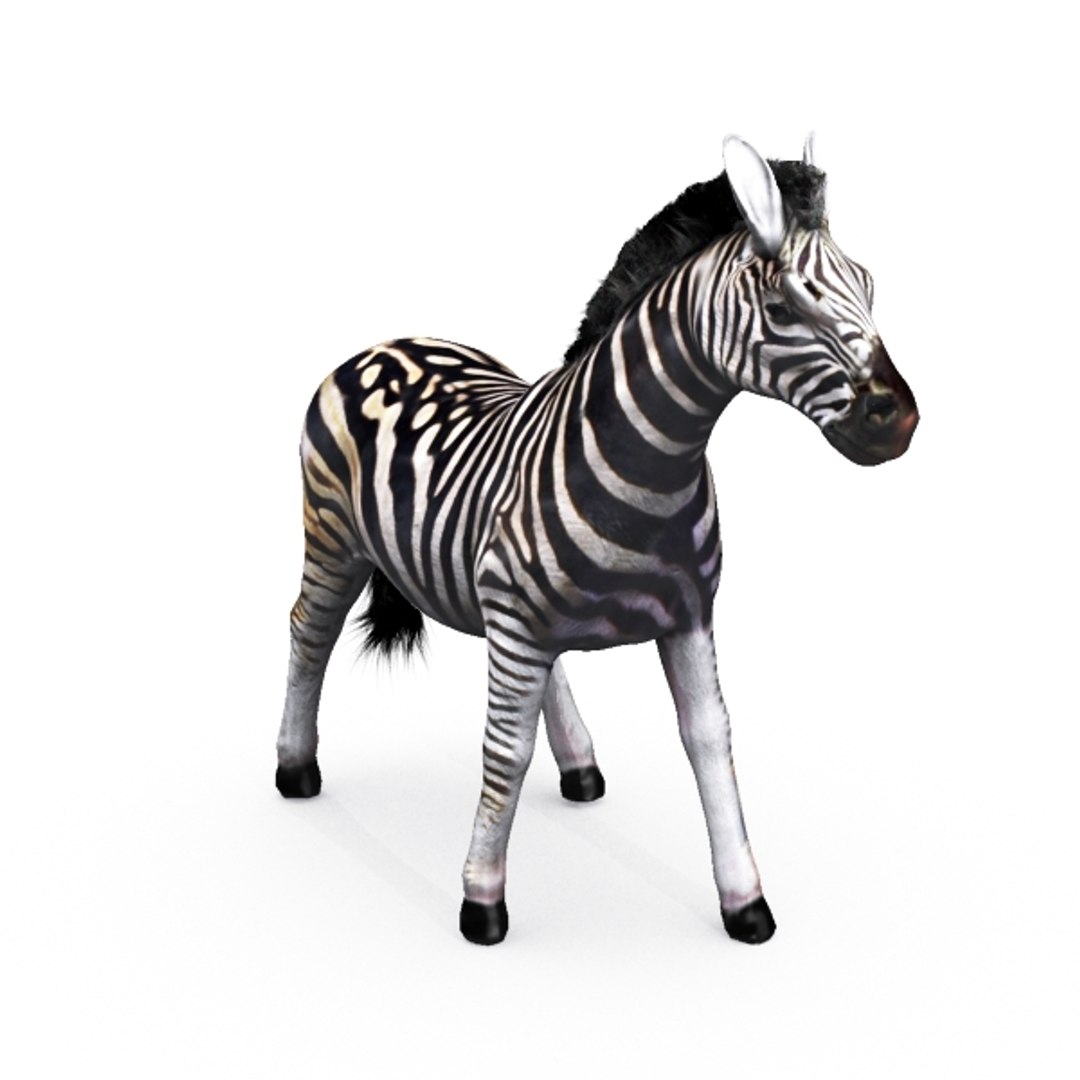 Zebra Animating 3d Model