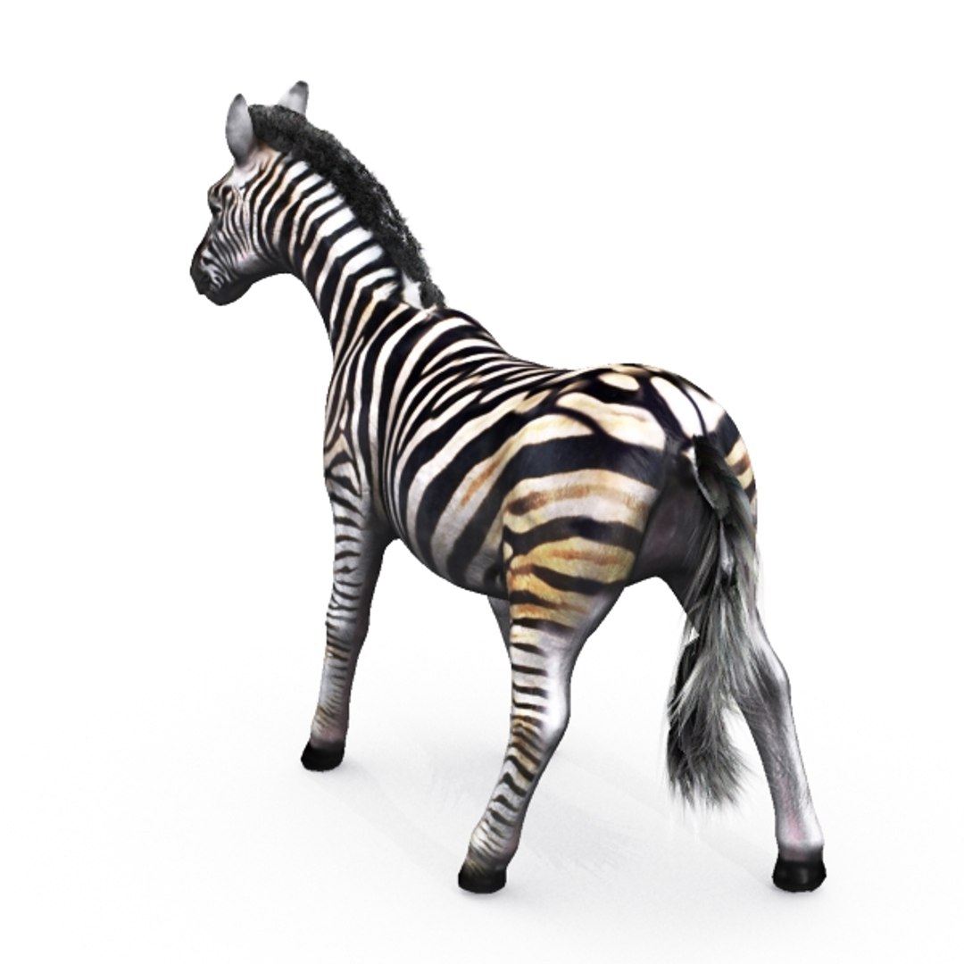 Zebra Animating 3d Model