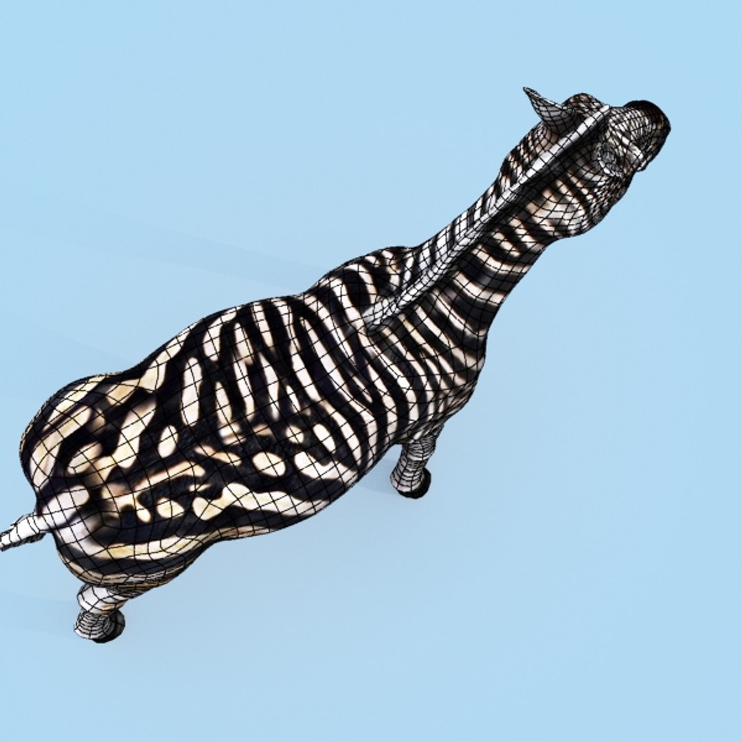 Zebra Animating 3d Model