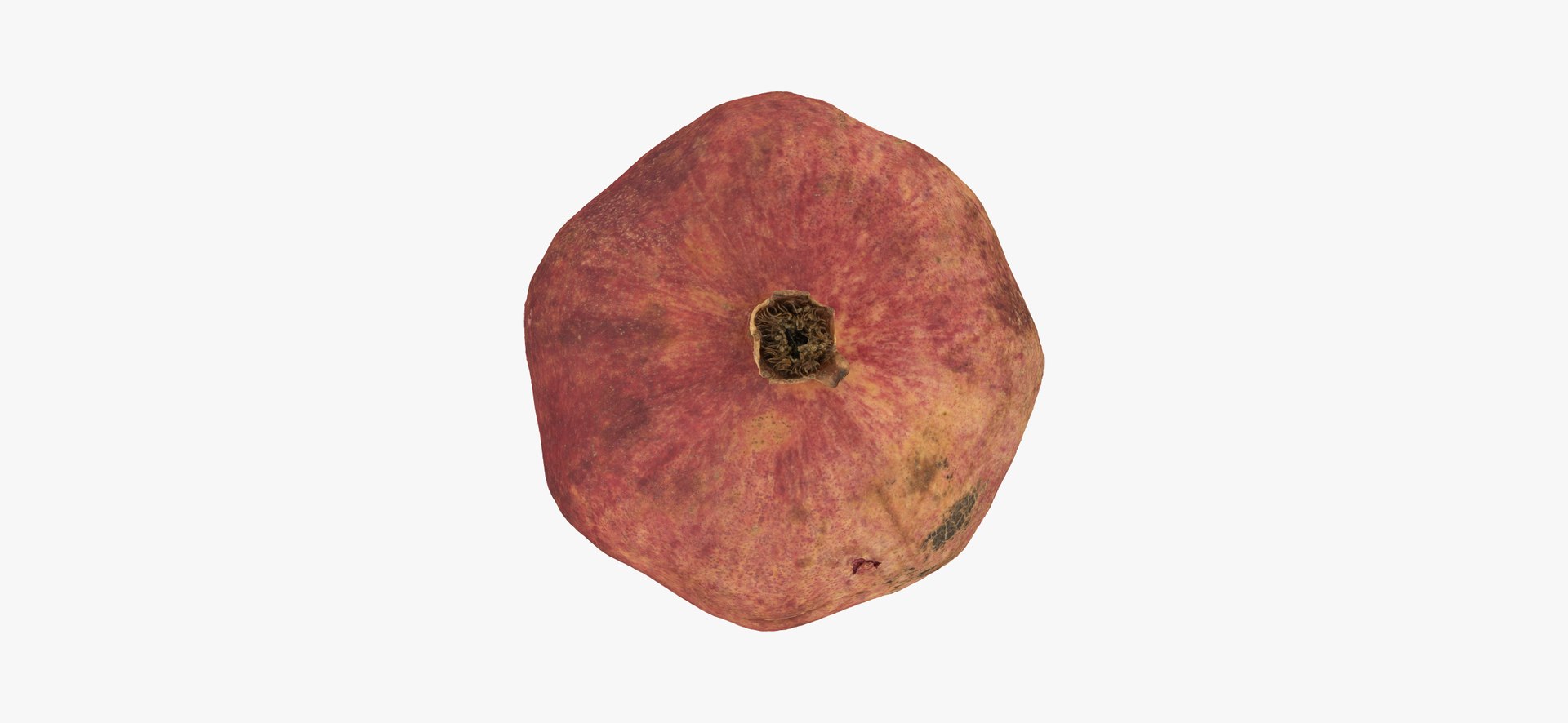 Pomegranate 02 raw scan model - TurboSquid 1664648