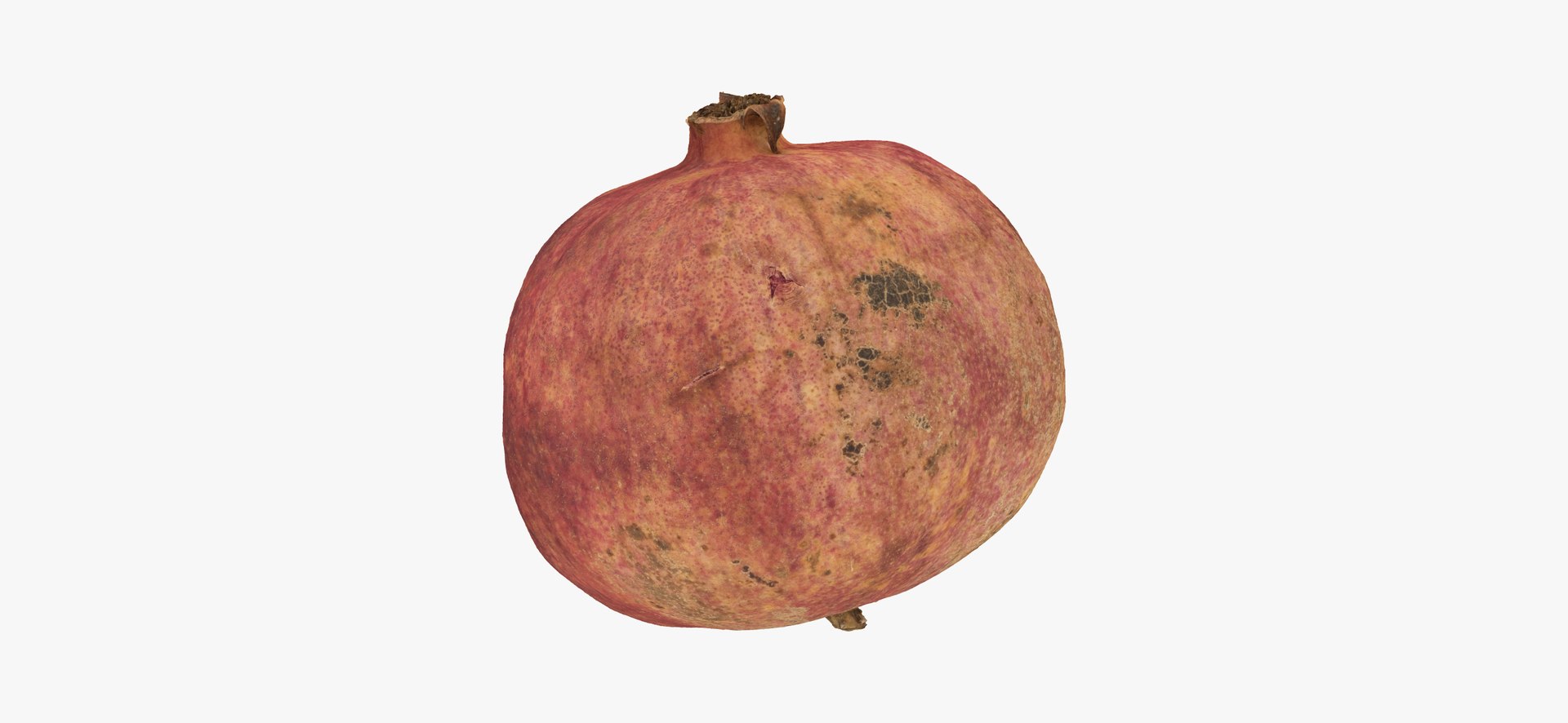 Pomegranate 02 raw scan model - TurboSquid 1664648