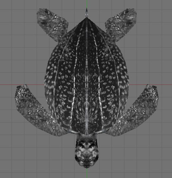 leatherback sea turtle 3d model