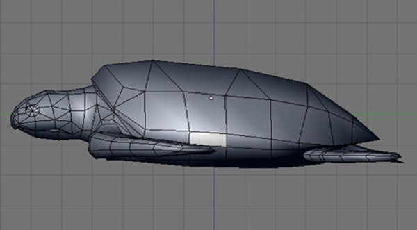 leatherback sea turtle 3d model