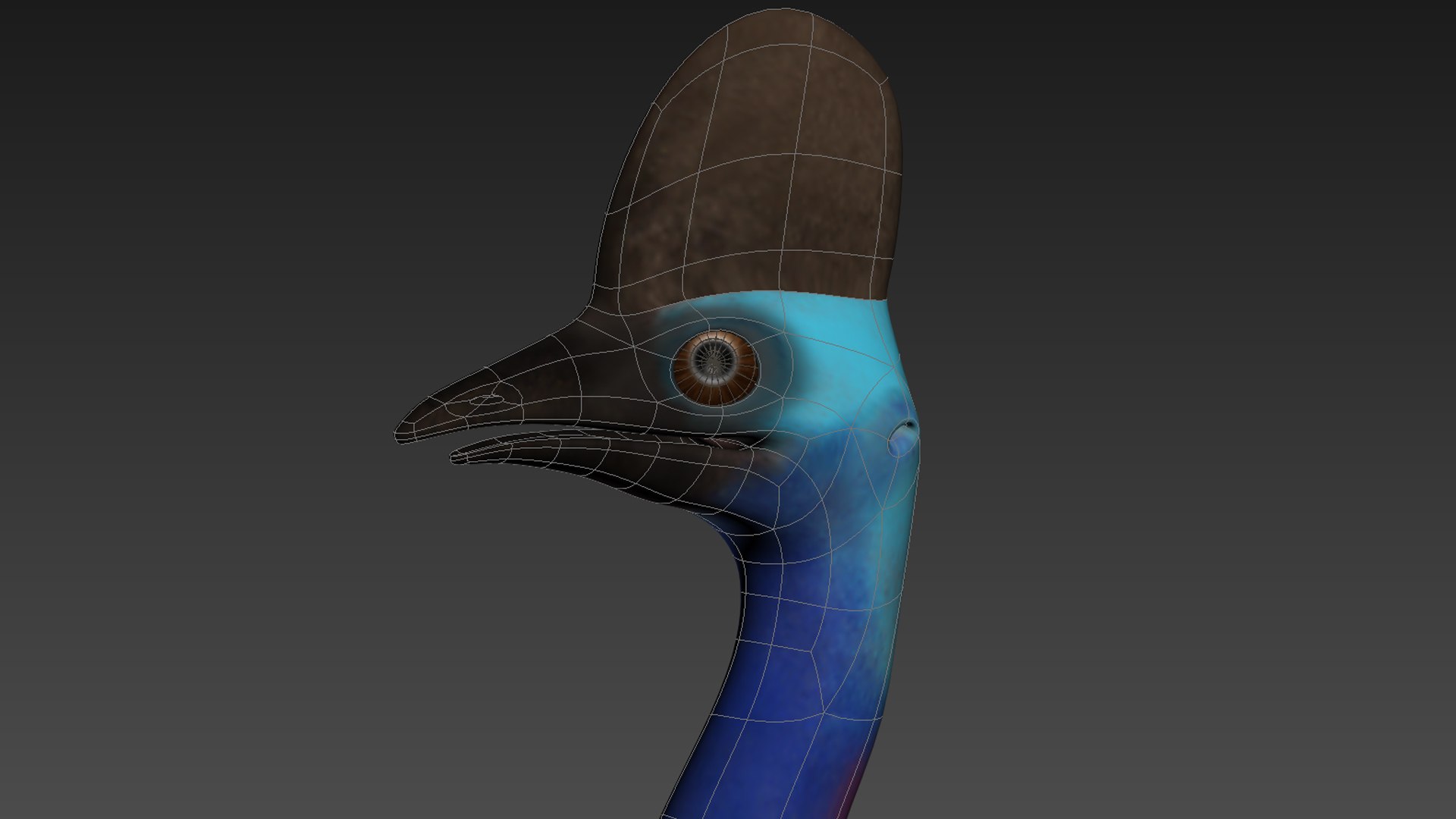 3d Model Rigged Cassowary Bird Animation