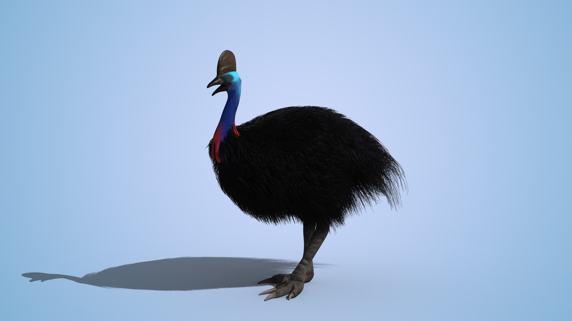 3d Model Rigged Cassowary Bird Animation
